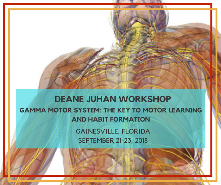 Gamma Motor System - JobsBody | Deane Juhan's Official Website